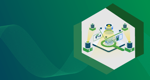 Get Control of Your Data - Maxis AI